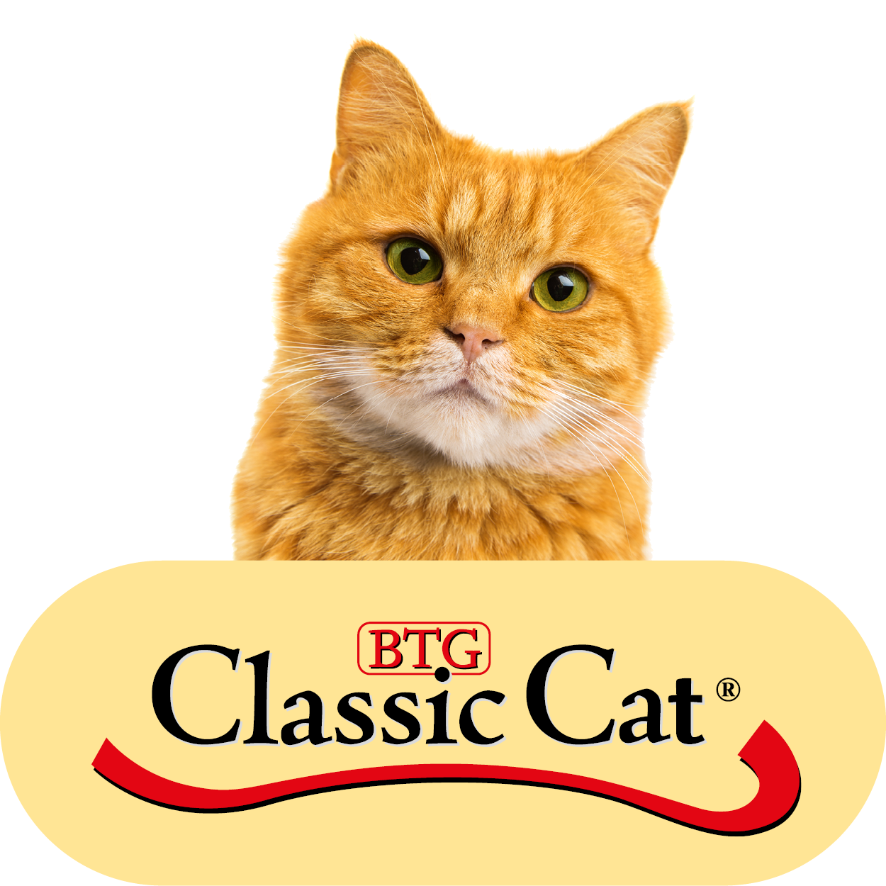 Kategorie: Classic Cat - Classic-Heimtiernahrung